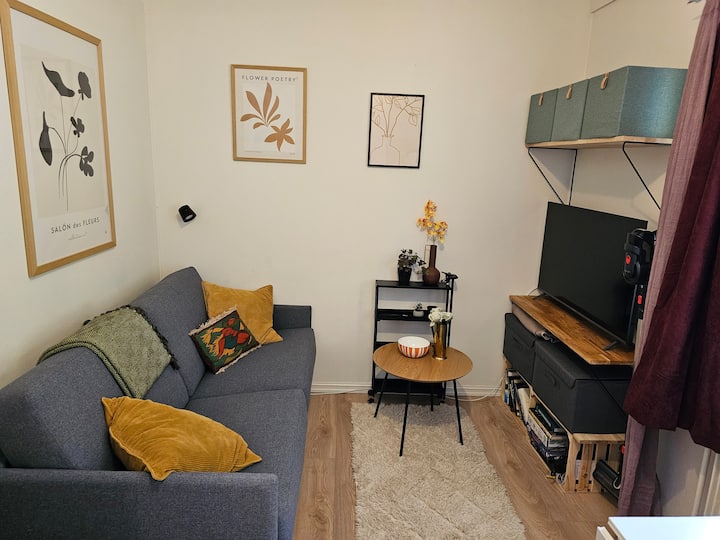 Cute Apartment In Central Oslo - Oslo