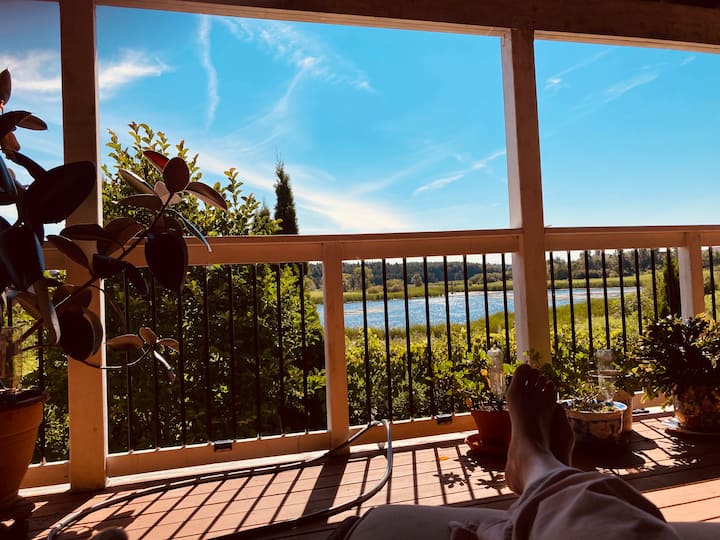 Water View House - Newmarket