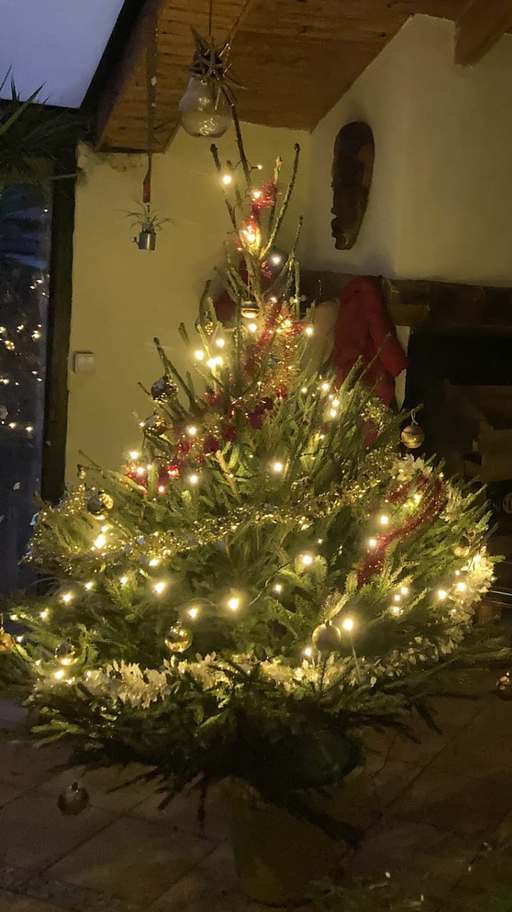 Cocon Dans La Forêt - Aveyron