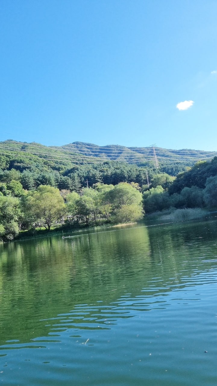 눈안개꽃.준비중입니다. - 마산동