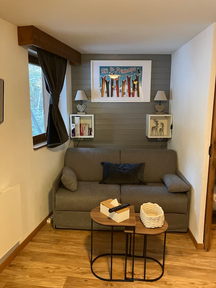 Appart 2 Pièces Confortable Proche Des Pistes - Chamrousse