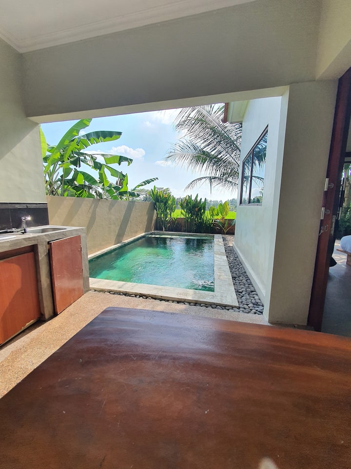 Cozy 1bedroom Private Pool Epic Ricepadies View - Bali