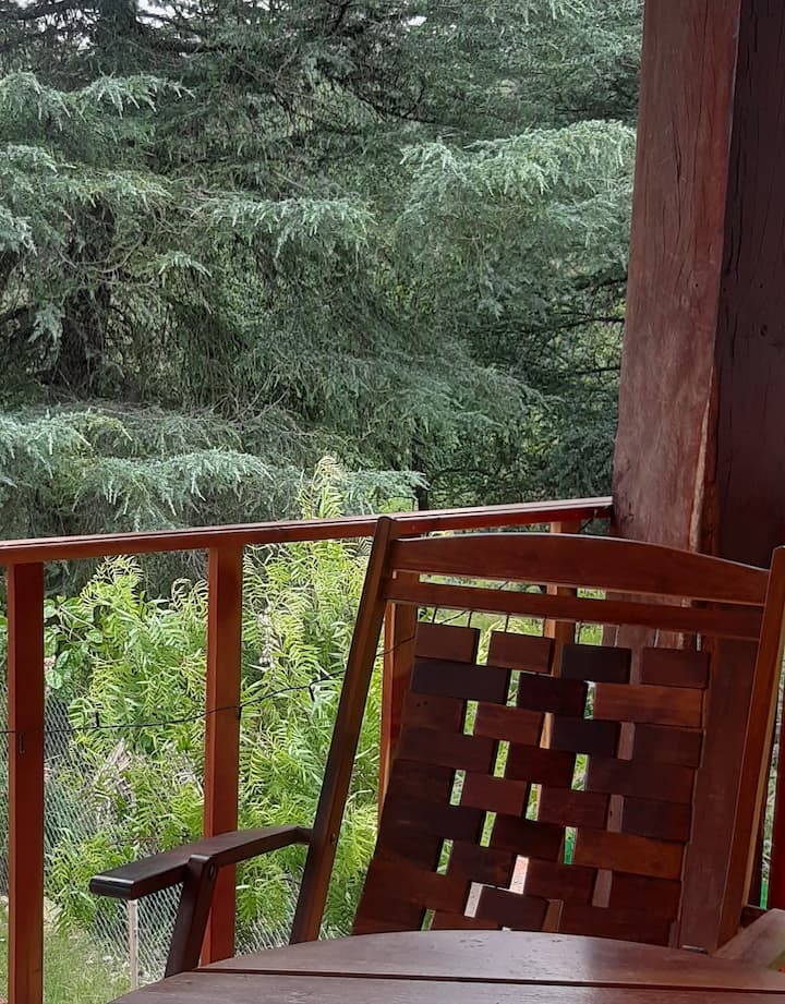 Hermosa Cabaña A Metros Del Río - Villa Carlos Paz