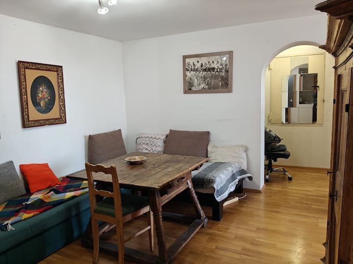 Charmante Wohnung Am Stadtrand Im Grünen! - Salzburg