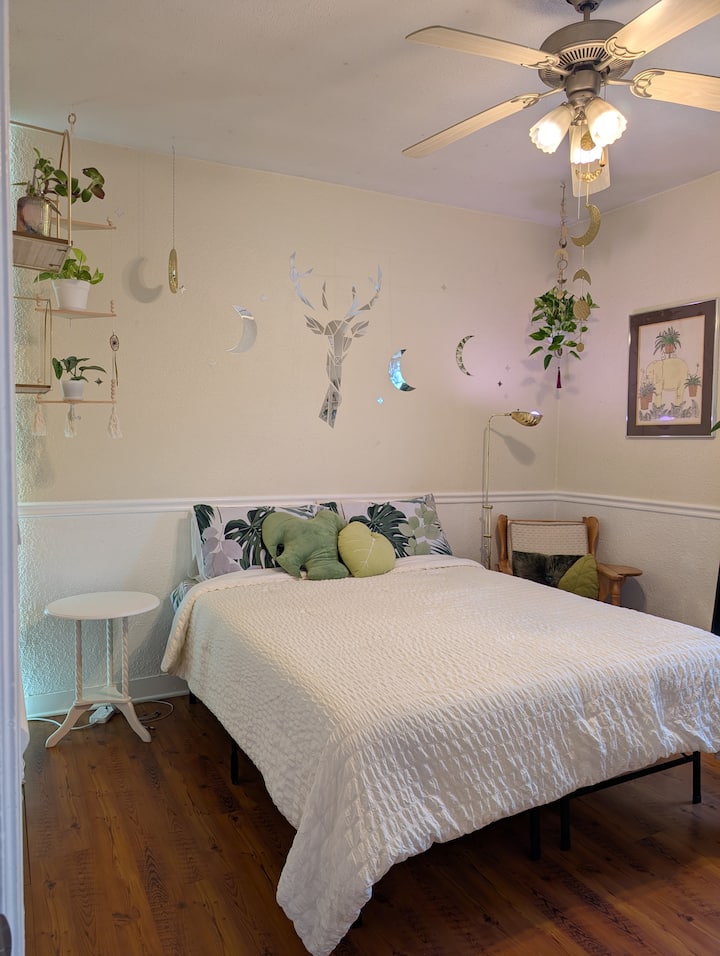 *Lush Plants 'N' Jungle Vibes* - Santa Clara, CA