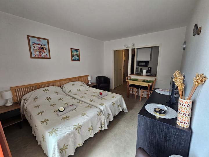 Studio Pour Curistes Proche Des Thermes Borda - Dax