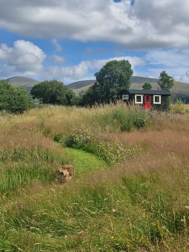 Eve's Shepherd's Hut 
County Wicklow - Leinster