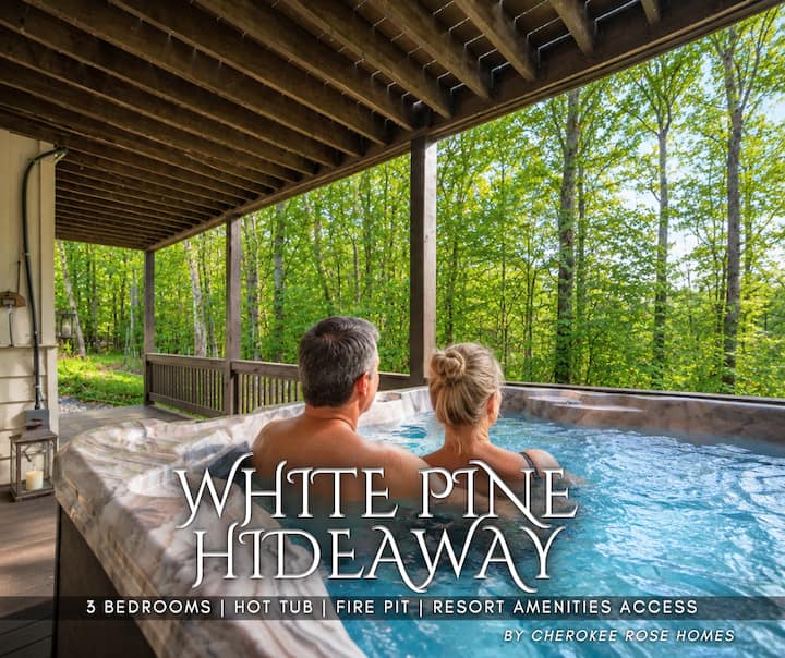*White Pine Hideaway*fire Pit~hot Tub~games~resort - Ellijay, GA