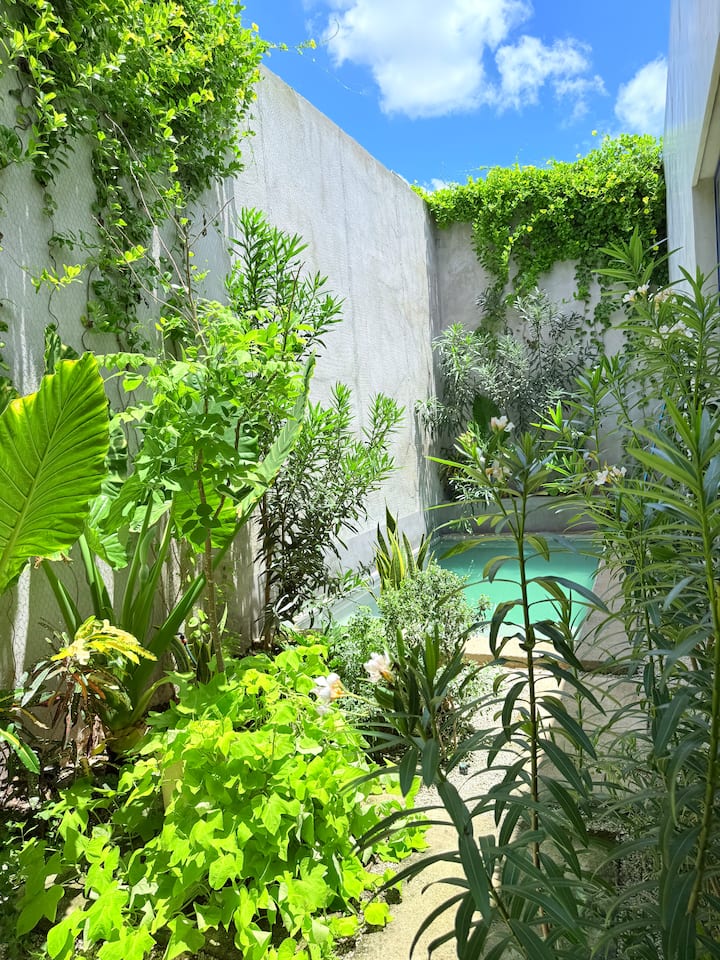 Relax By Our Plunge Pool & Walk To Everything - Mérida