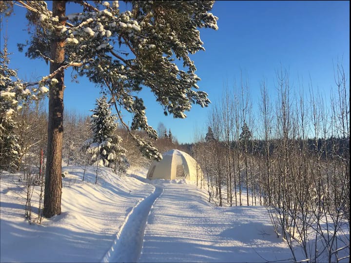 Romantic Christmas In A Dome - Sweden