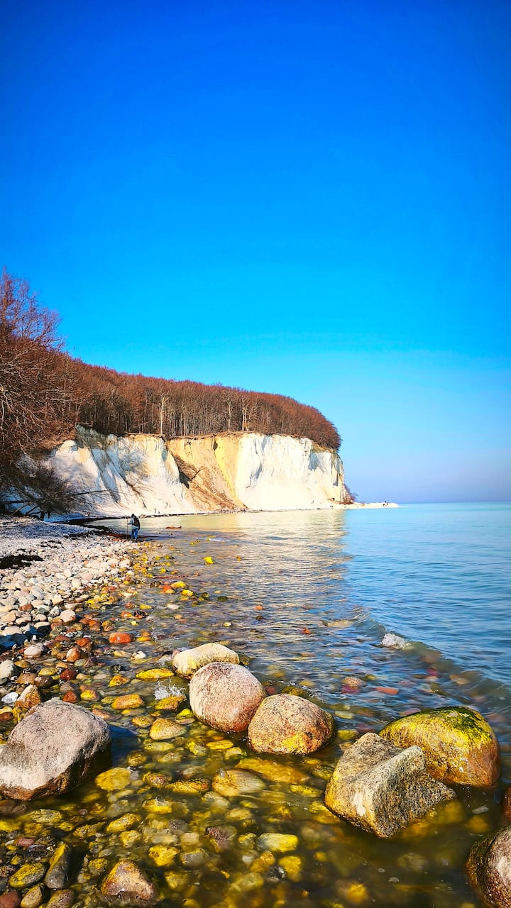 Fewo Inselmitte Bergen 
In Der Nähe Stadtzentrum - Ralswiek