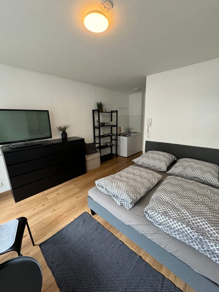 Zentrales Apartment In Stuttgart - Stuttgart