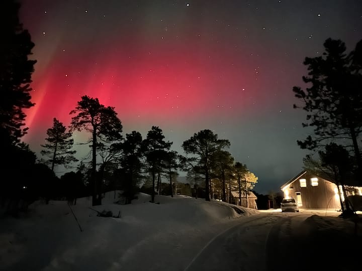 Aursvika Lodge - Norway