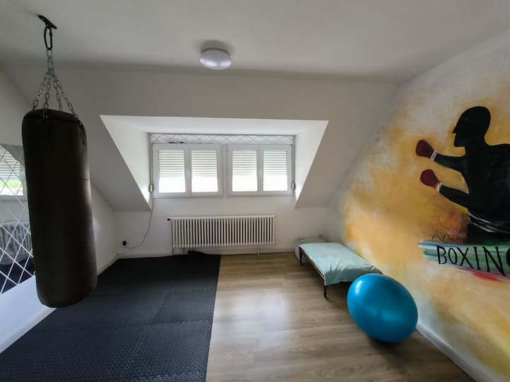 Villa Beausite, Jacuzzi Et Sauna Privatif - Bas-Rhin