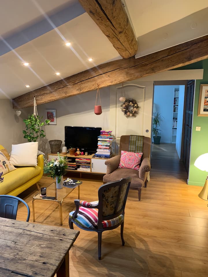 Appartement Cosy Croix Rousse - Vue Insolite - Caluire-et-Cuire