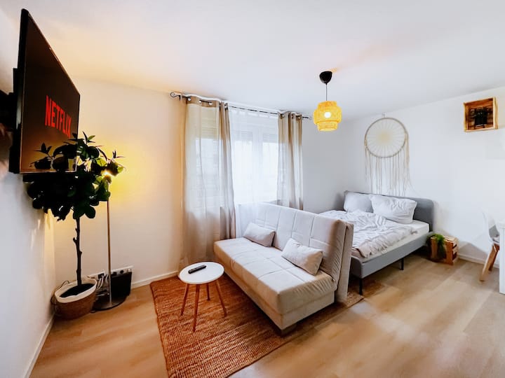 Cozy Studi Apartment - Kl - Kaiserslautern