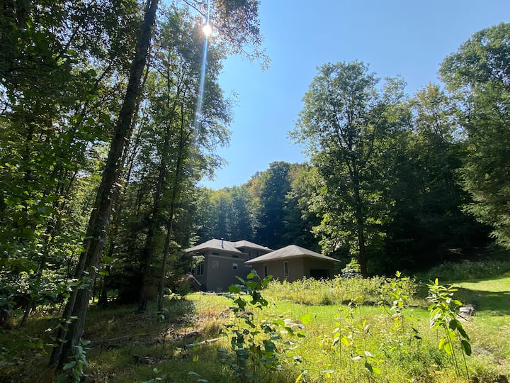 Modern Cabin Near Dolly Sods - Canaan Valley, WV