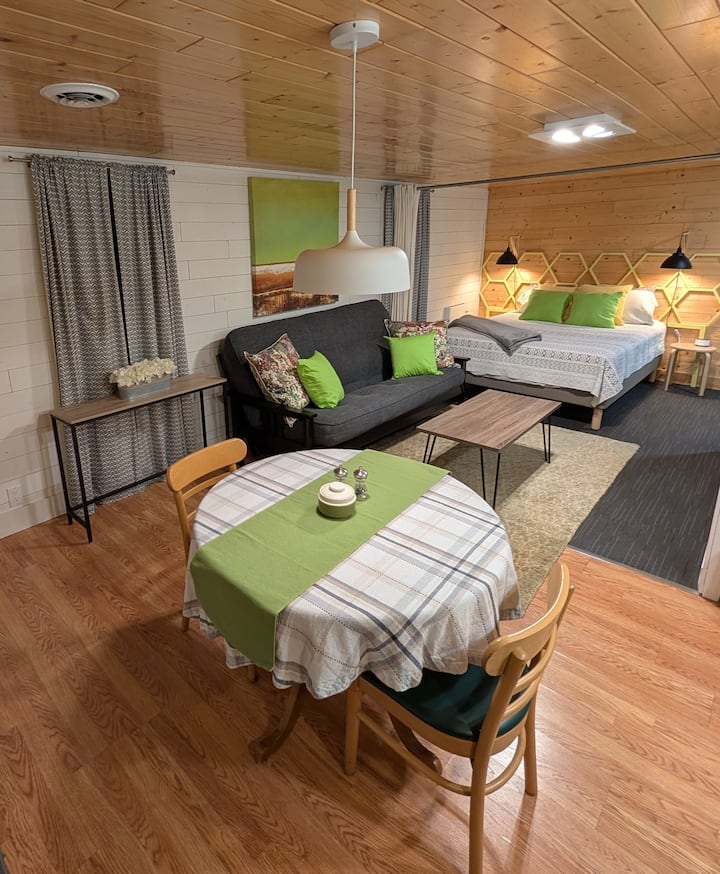 Norsk Gjestehus Studio: Walkout W/fireplace - Decorah, IA