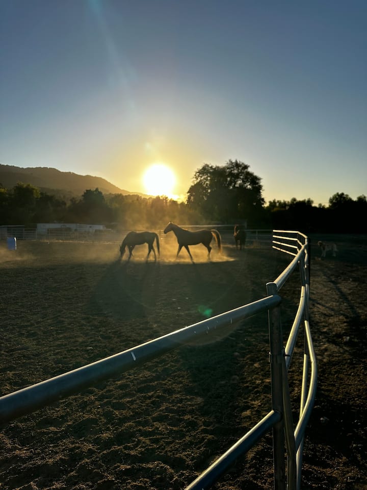 The Cottage At B/s Ranch - Ojai, CA