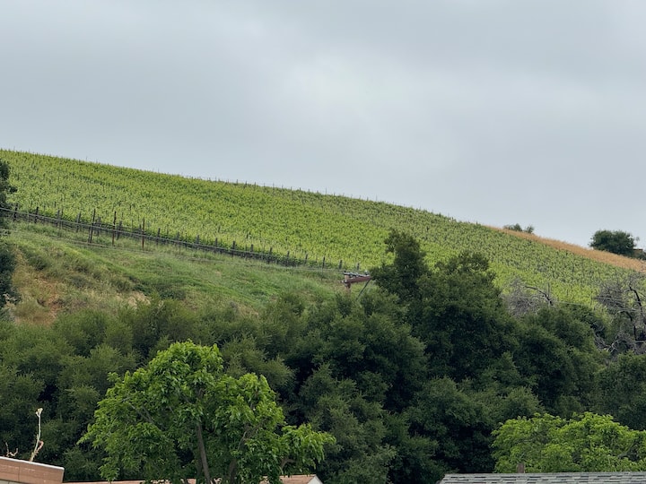 Green Rolling Hill Lake Fishing - Ojai, CA
