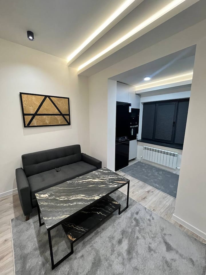 New Cozy Apart In Parkent Street - Tashkent