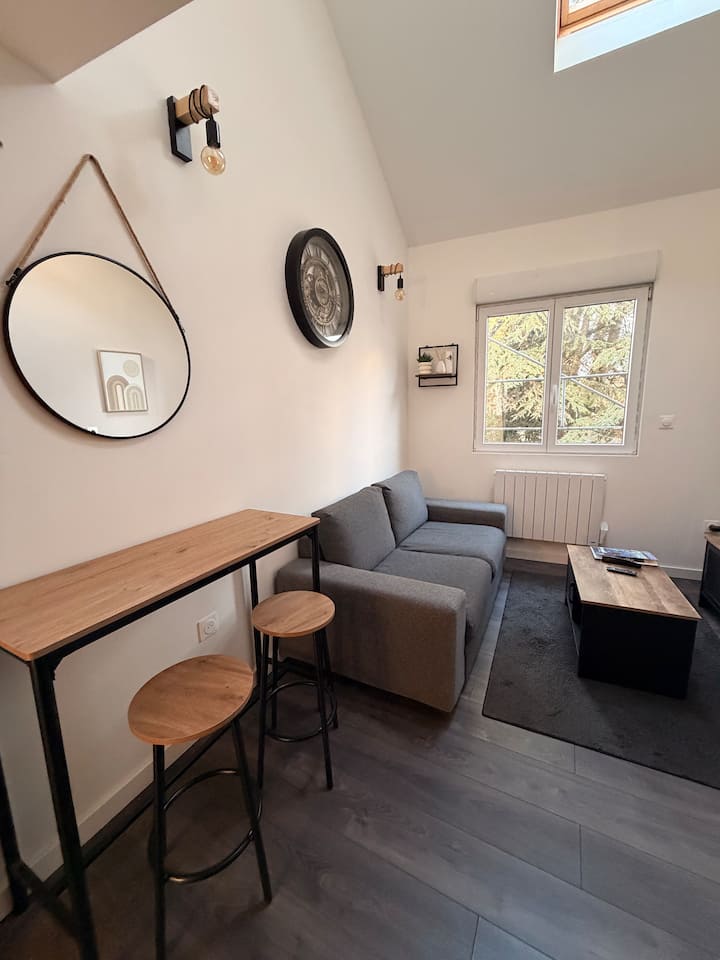 Appartement à Strasbourg - Strasbourg