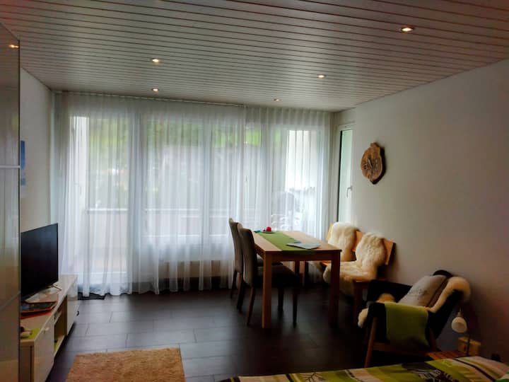 Sonniges Studio Mit See- Und Titlisblick - Engelberg