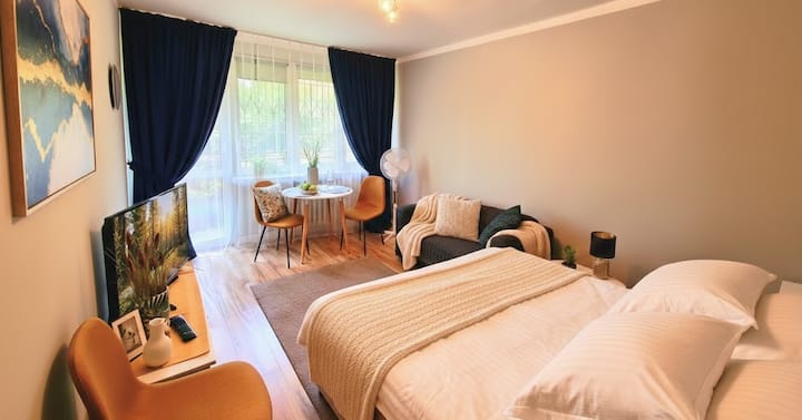 Apartament Wapienna - Łódź