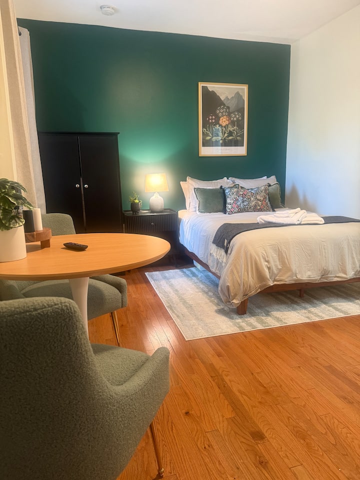 Adorable Apartment-longwood/fenway - Hyde Park - Boston