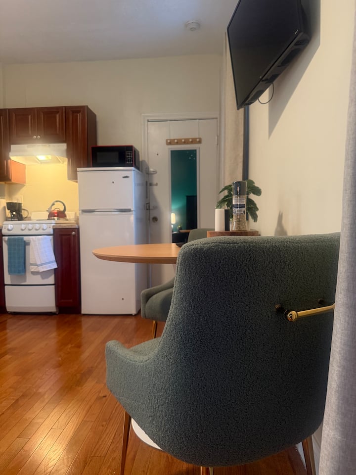 Adorable Apartment-longwood/fenway - Hyde Park - Boston