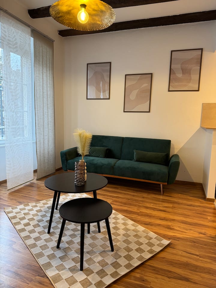 Appartement Au Cœur De Strasbourg • Marché De Noël - Strasbourg