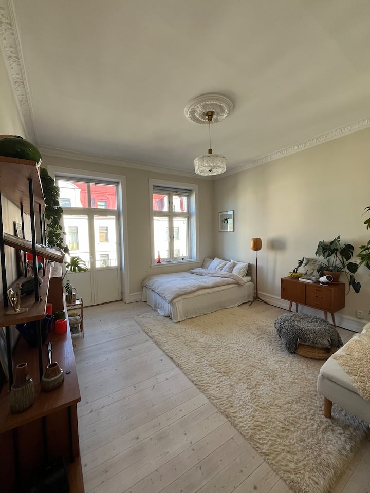 Ljus Och Hemtrevlig Lägenhet På Möllevångestorget - Lomma