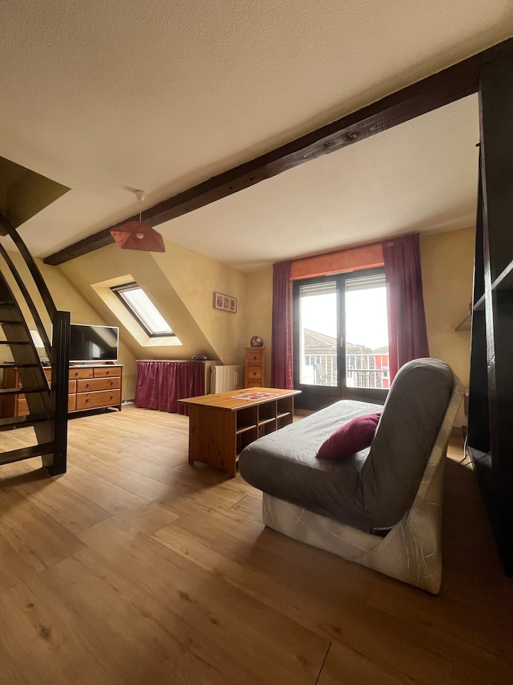 Appartement Spacieux à Illkirch, Avec Terrasse - Ostwald