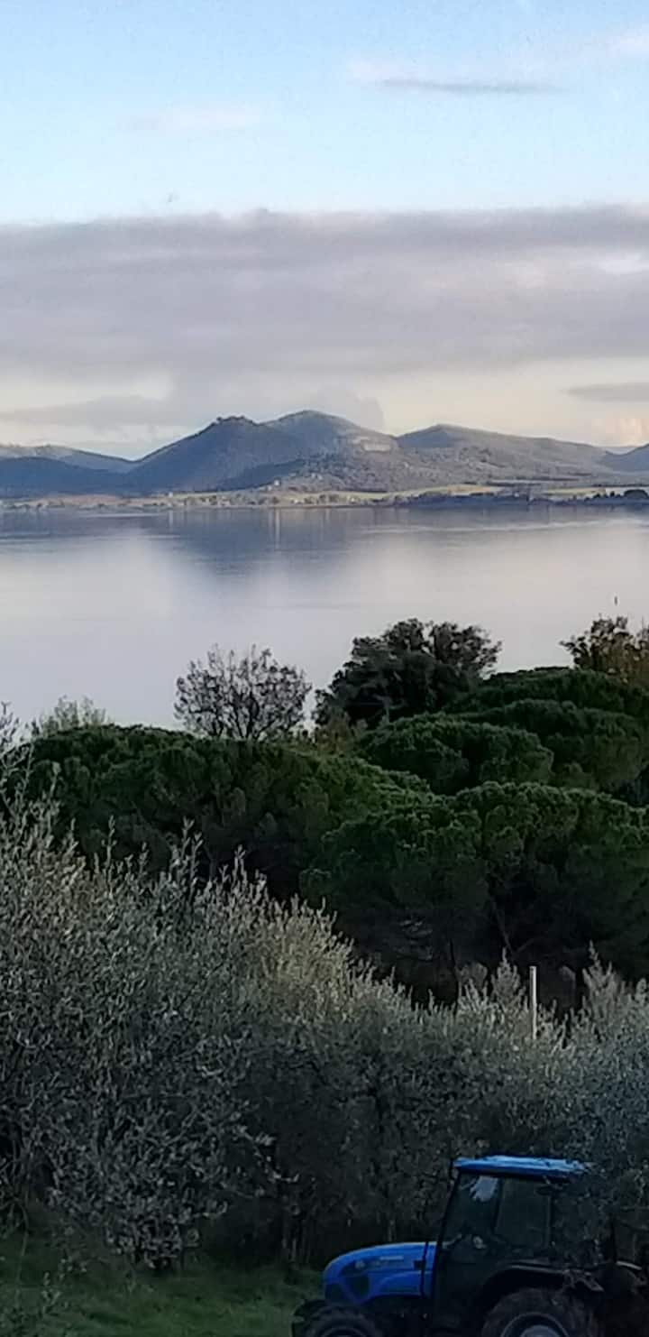 Antica Casa Di Famiglia 
Il Lago In Una Stanza. - Castiglione del Lago