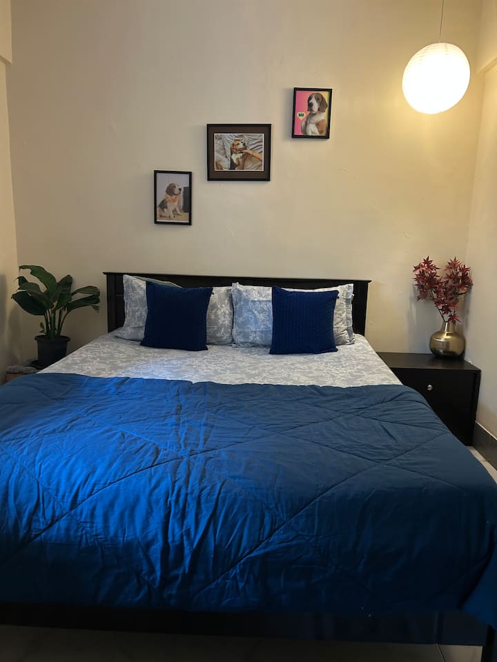 Rio’s Paradise - Mumbai