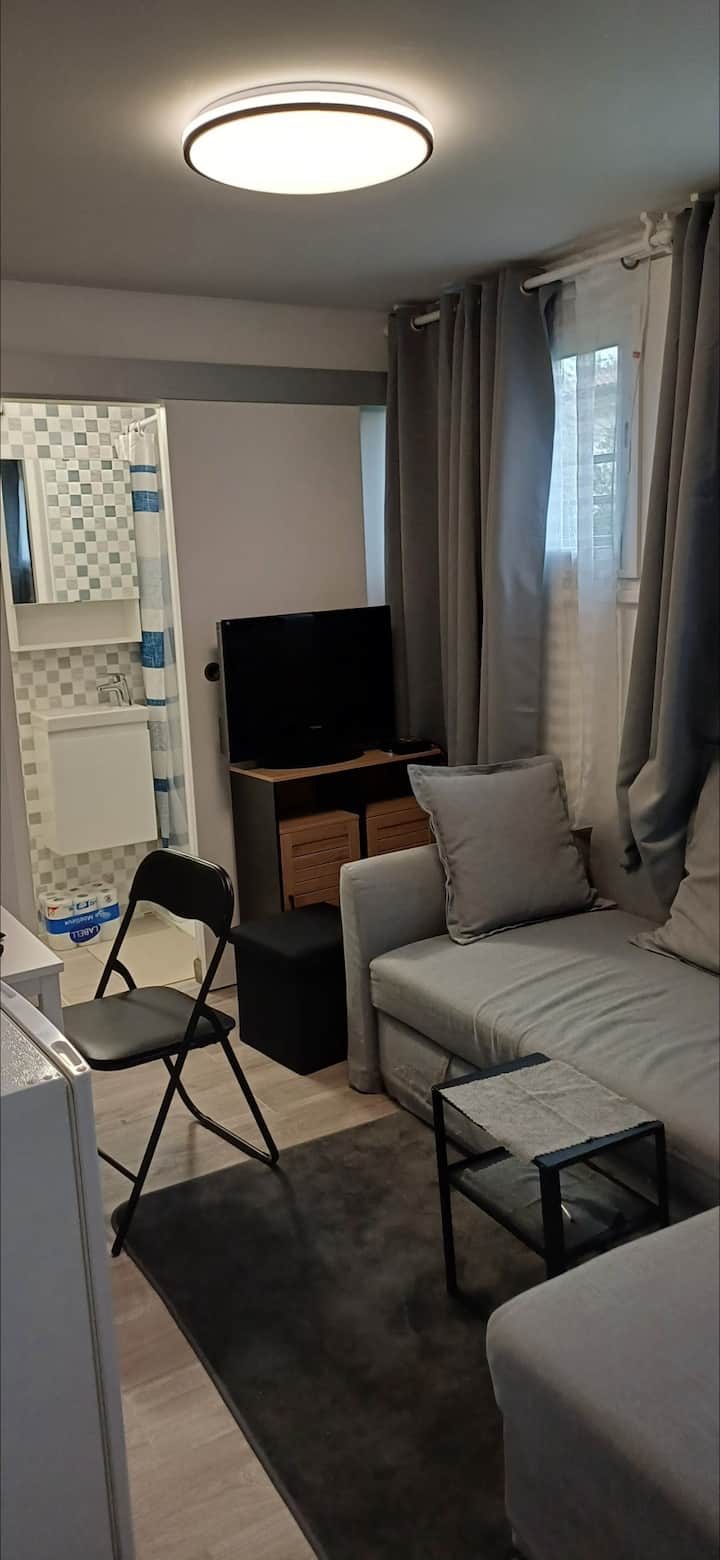 Charmant Studio Très Fonctionnel, Centre Toulouse - Toulouse