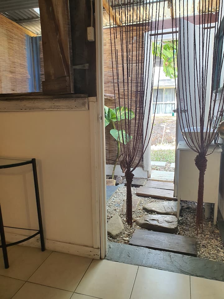 Shells - Airlie Beach