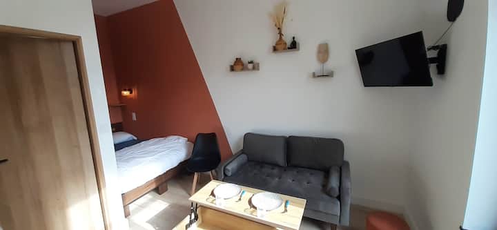 Quiet And Cozy Accommodation In Nancy. - Nancy