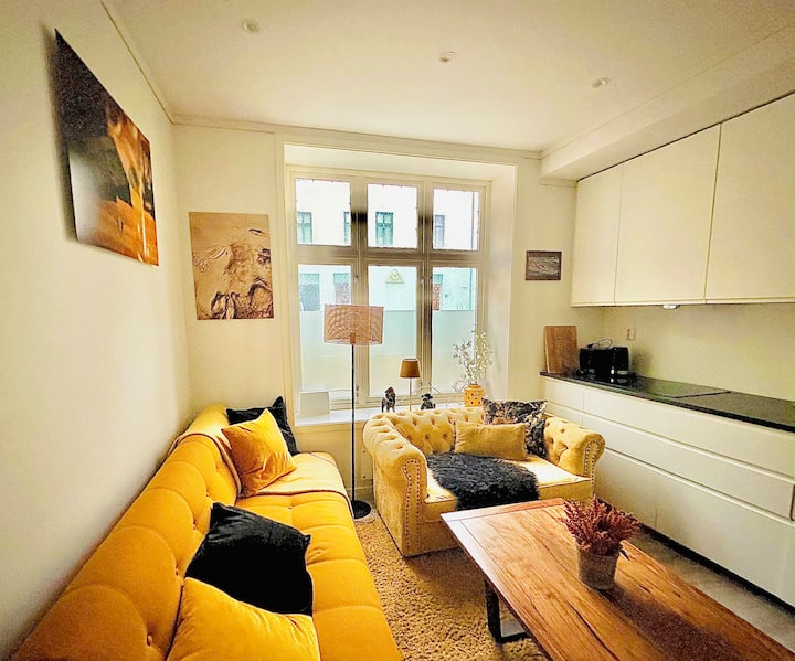 Cozy Downtown Free Parking Apartment - Alesund