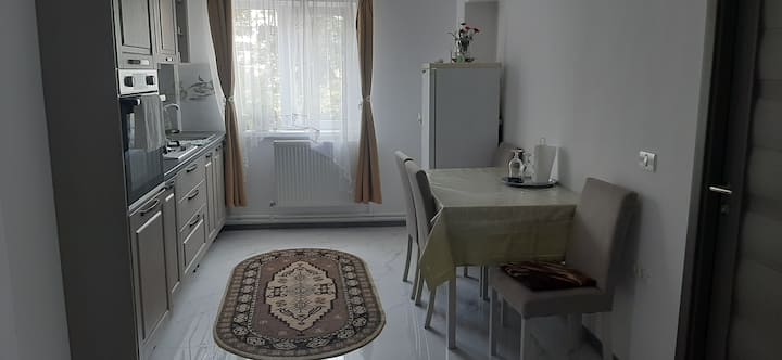 Apartament Modern Claudia - Brad