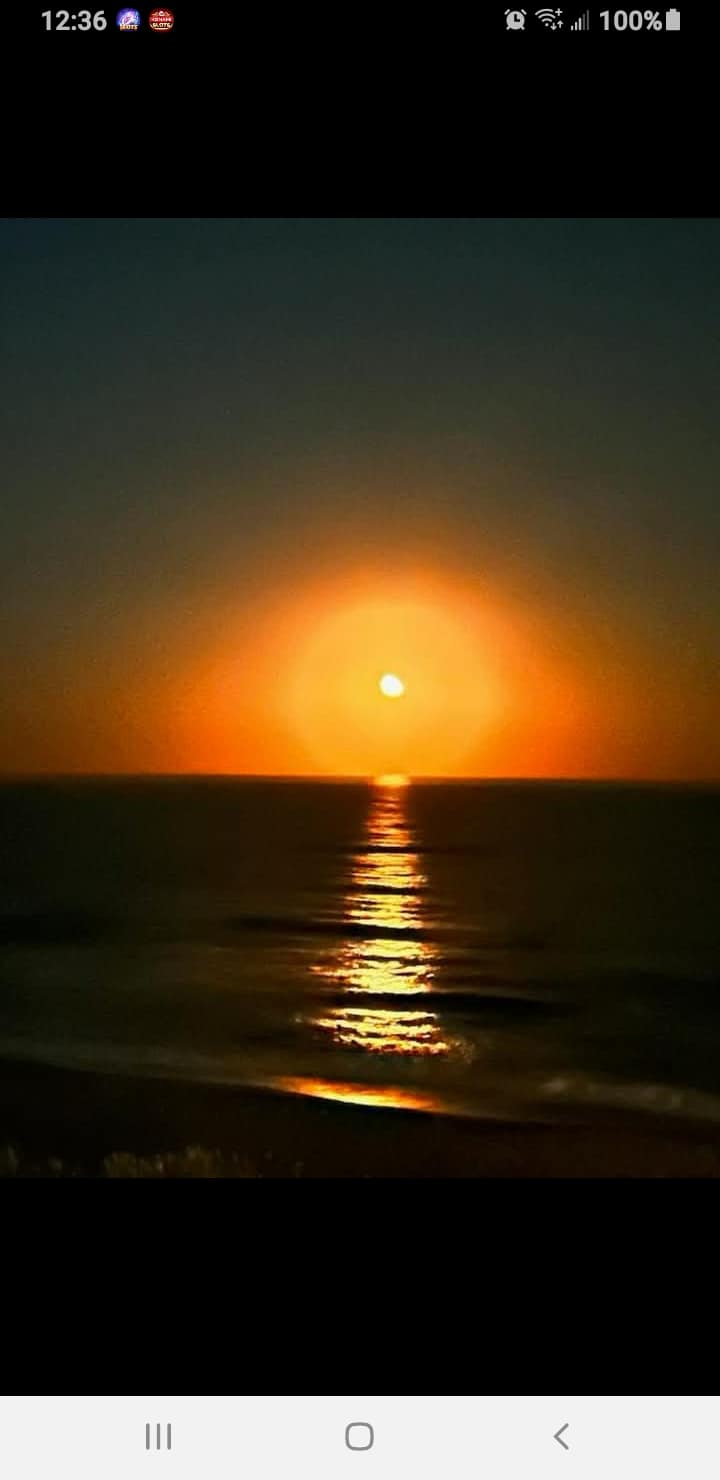 The Salty Kure - By The Pier - Kure Beach, NC