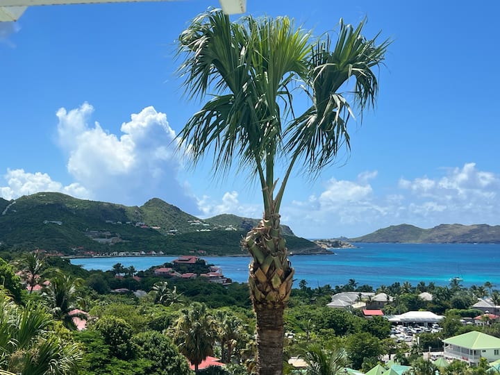 Indigo - Saint-Barthélemy