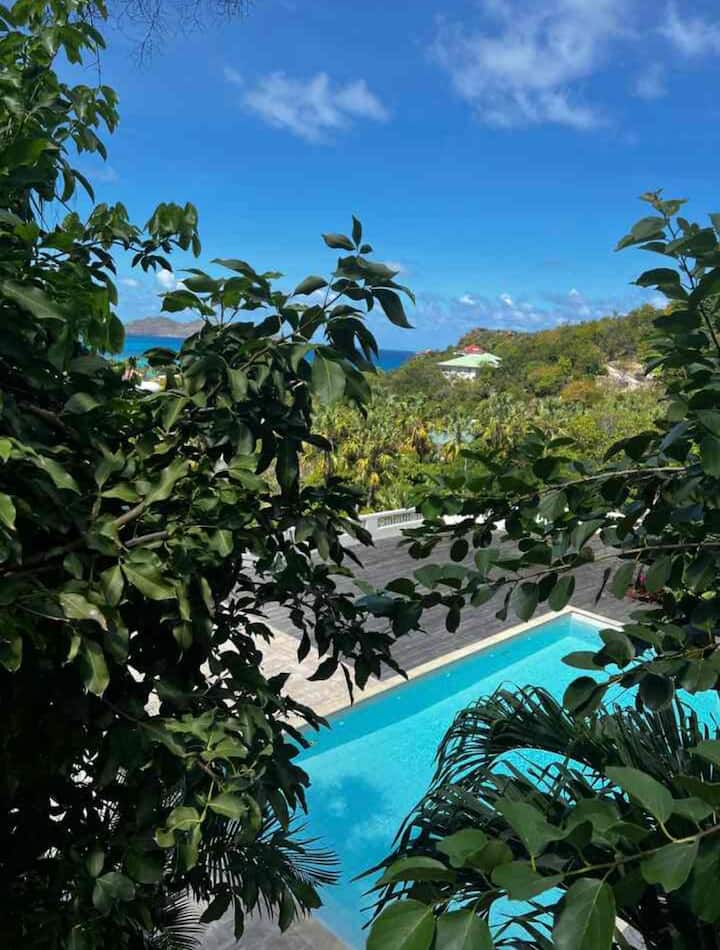 Indigo - Saint-Barthélemy