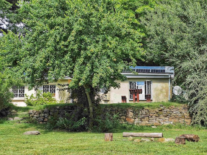 Foxes Earth @ Wild Fox Hill - Hogsback