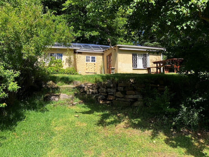 Foxes Earth @ Wild Fox Hill - Hogsback