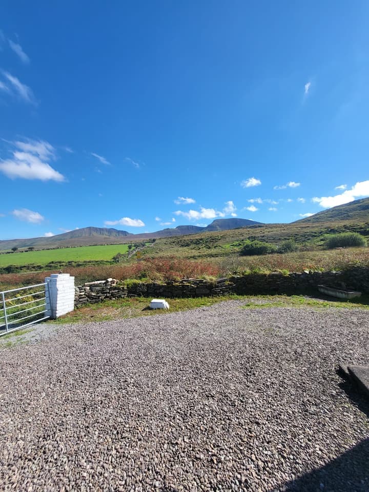 The Swallow - Dingle