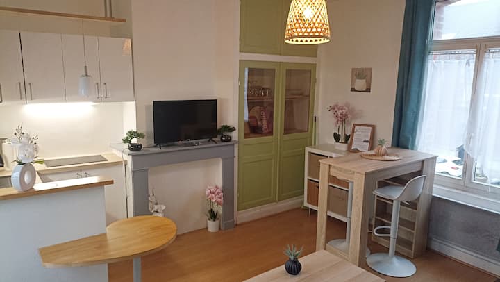 Les Deux Duplex - Voisins De Palier - Douai