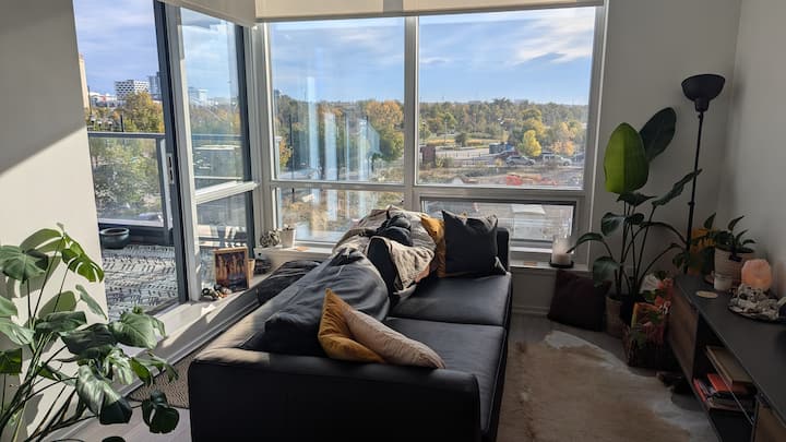 Professional, Fun And Central! - Alberta