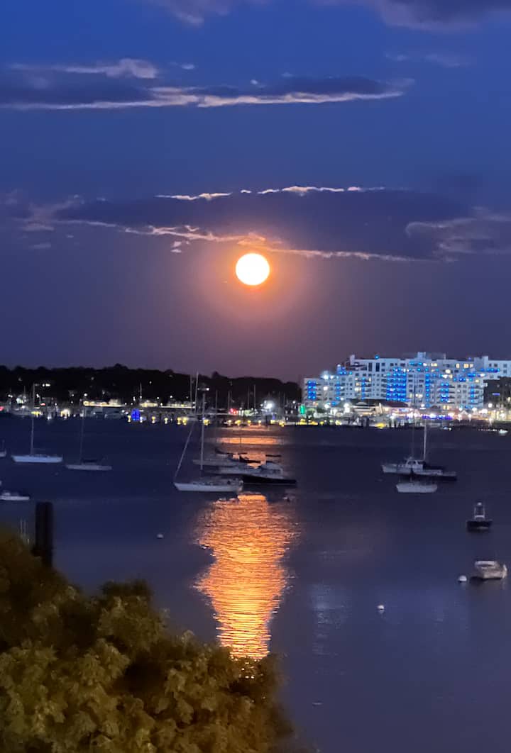 New! 2bd, Driveway, Massages, Walkable & Train - Quincy, MA