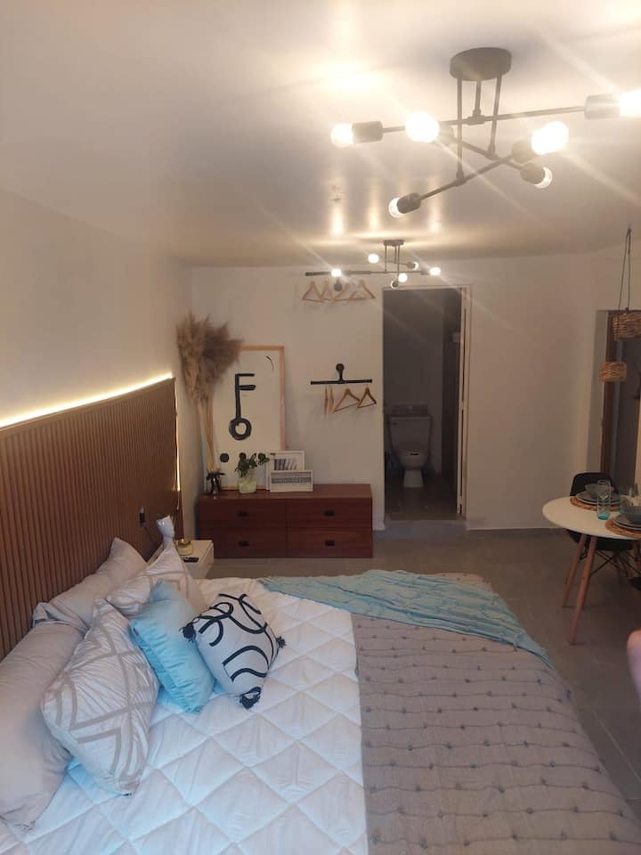 Departamento Céntrico. - Lagos de Moreno